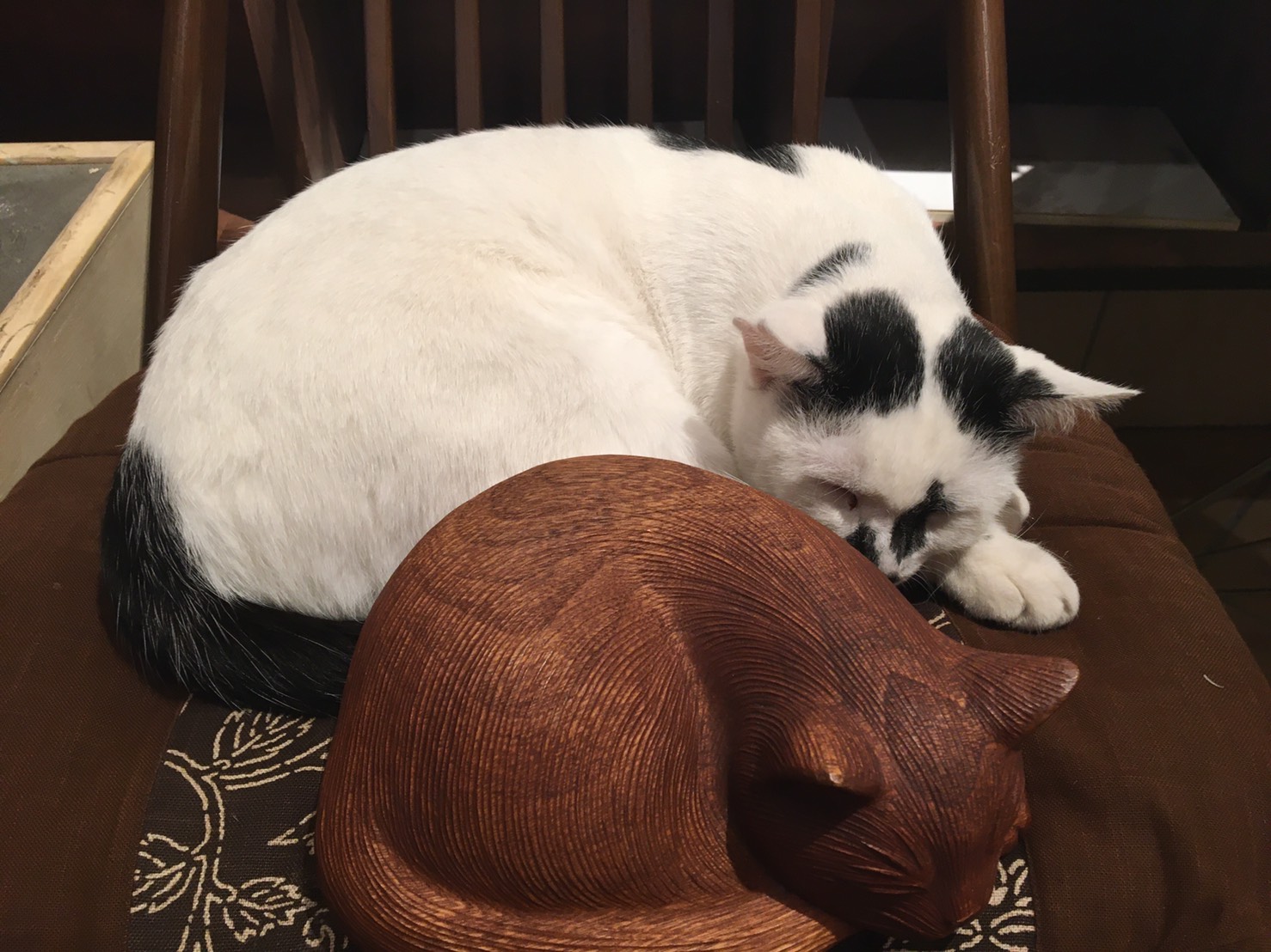 吾輩は猫が好きである。 | かついさんアレコレ | 洋食Katsui（勝井） 山の辺の道 | 御堂筋ロッヂ| 柳本駅中食堂 ピクトン| 喫茶マウンテン